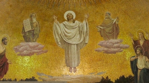 Catholic Bible Study | Lectio | Augustine Institute