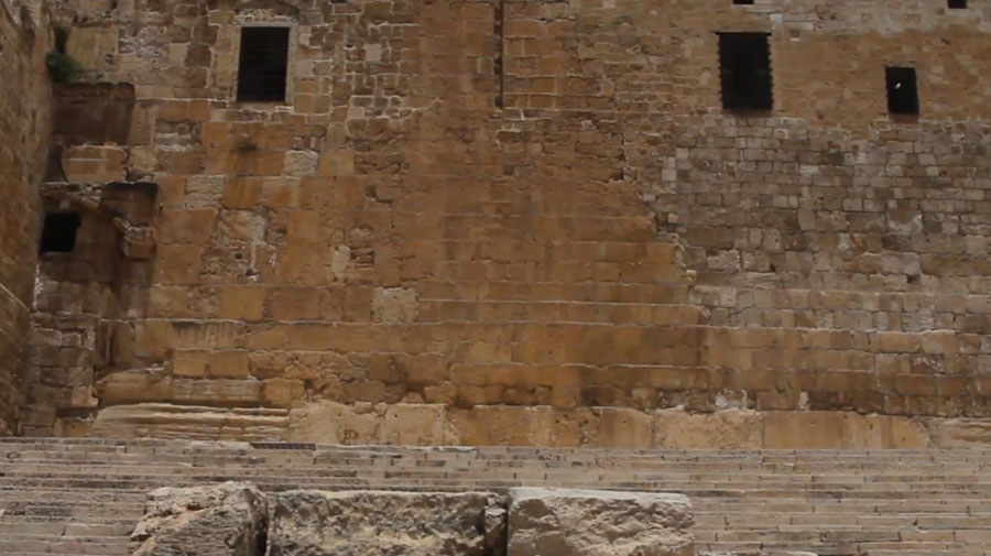 Catholic Bible Study | Lectio | Augustine Institute