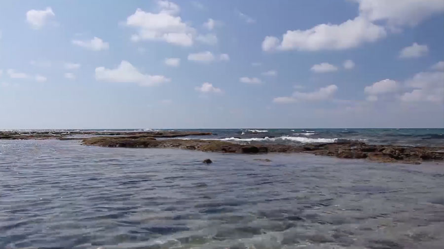 Catholic Bible Study | Lectio | Augustine Institute