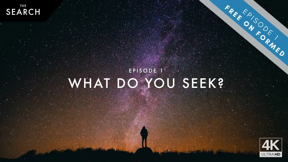 The Search Video Series | Life After Death Study | Augustine Institute