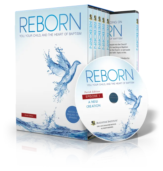 Baptism: Reborn | Augustine Institute