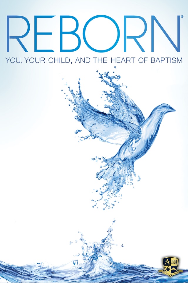 Bible Studies | FORMED Online Catholic Content