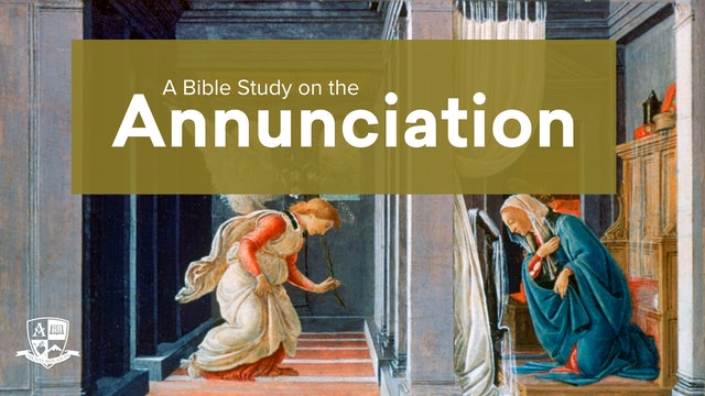 Bible Studies | FORMED Online Catholic Content