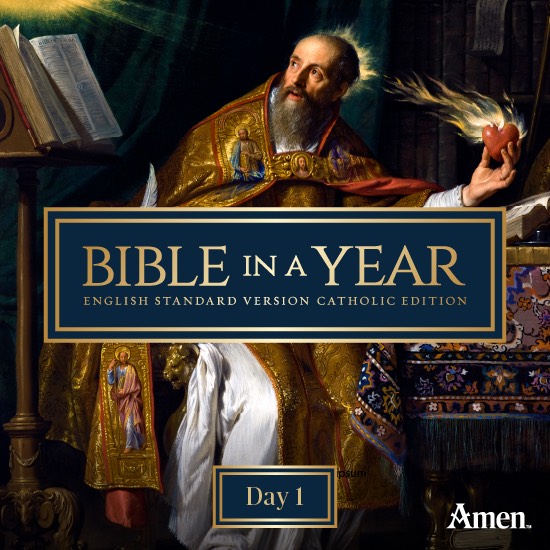 Download the Amen App | Catholic Resources | Augustine Institute