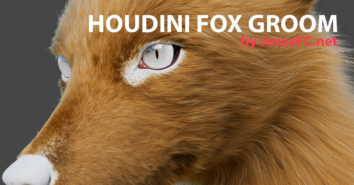 Houdini Fox Groom VIP tutorial series