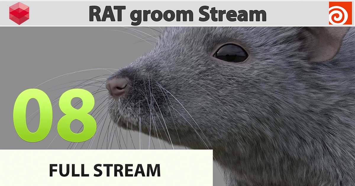 Rat Groom tutorial series
