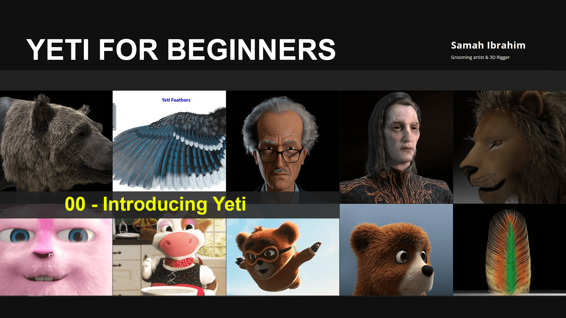 Yeti for beginners tutorial series
