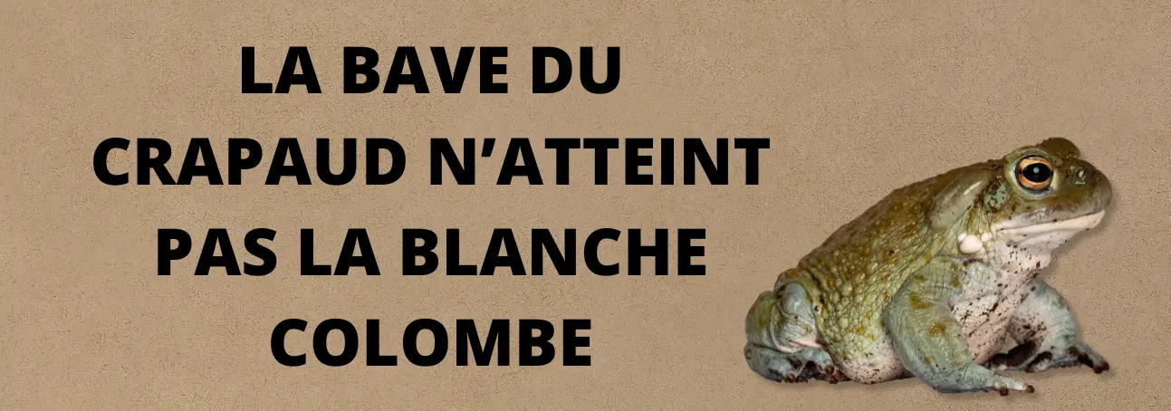 Que signifie "La bave du crapaud n'atteint pas la blanche colombe"