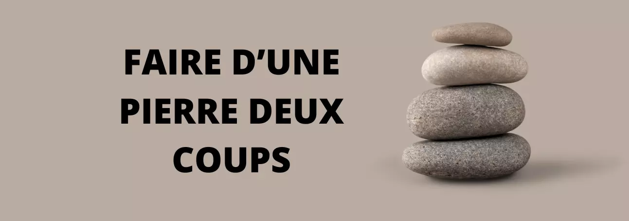 Que signifie « Faire d'une pierre deux coups