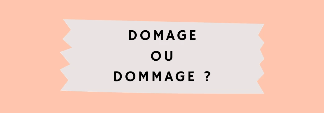 Domage ou dommage ? - OrthographIQ