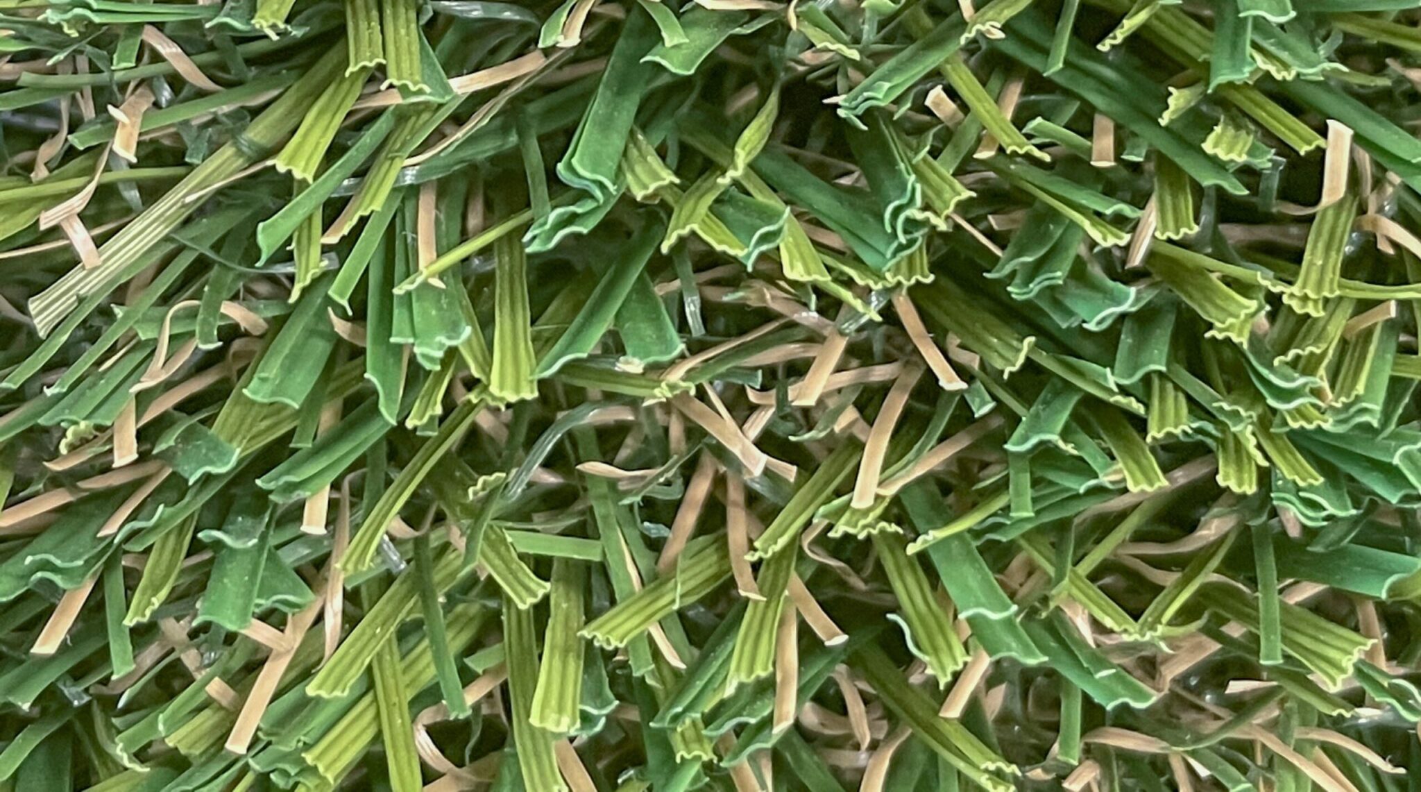 Tauro Turf | Artificial Grass Perth