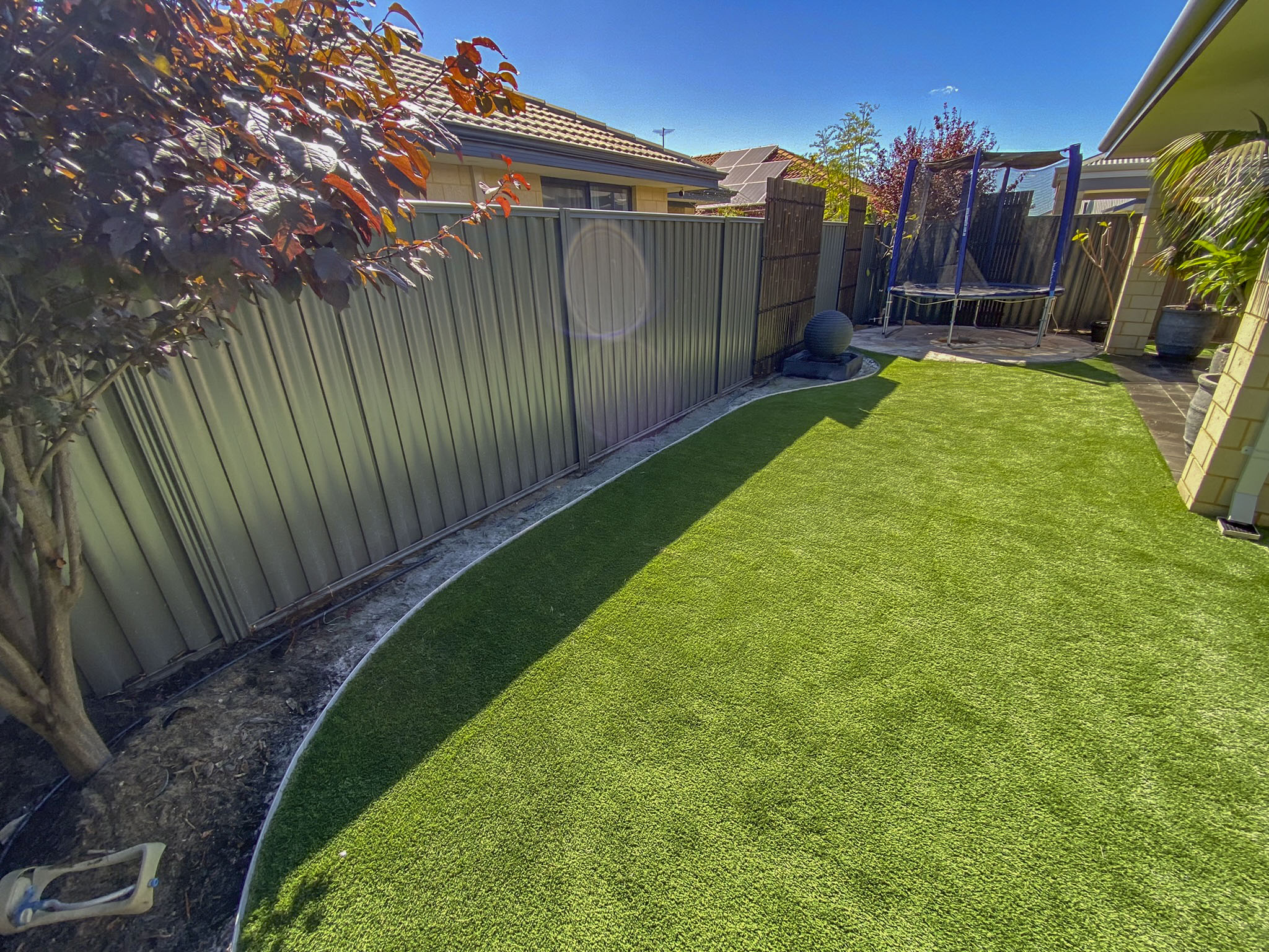 Buff | Tauro Turf Perth