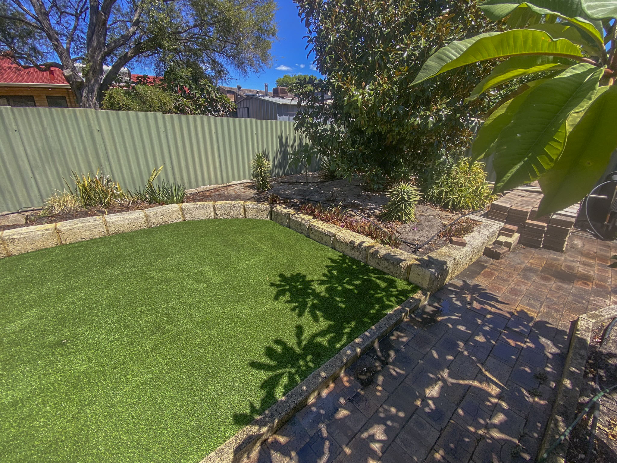 Buff | Tauro Turf Perth