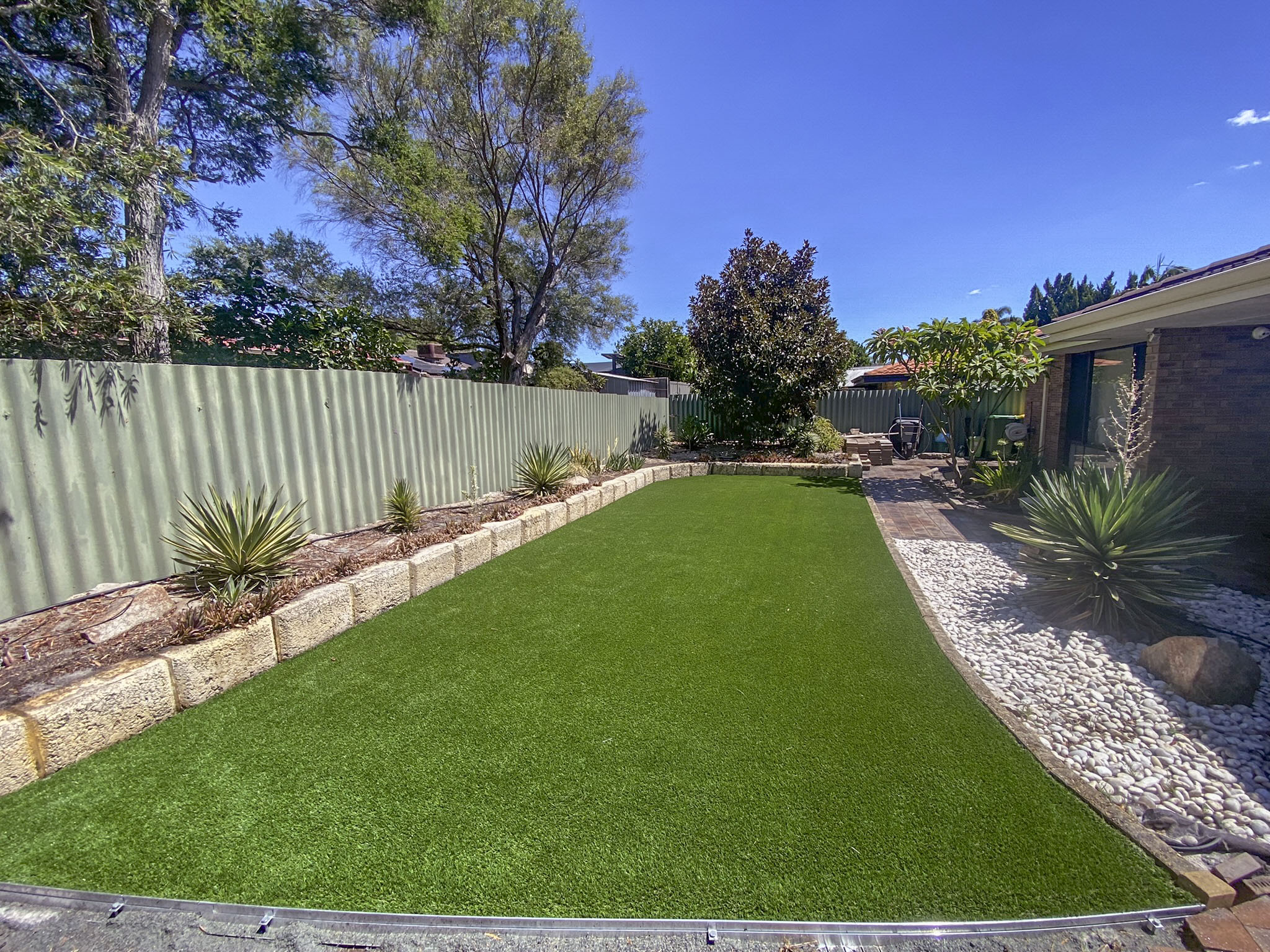 Buff | Tauro Turf Perth