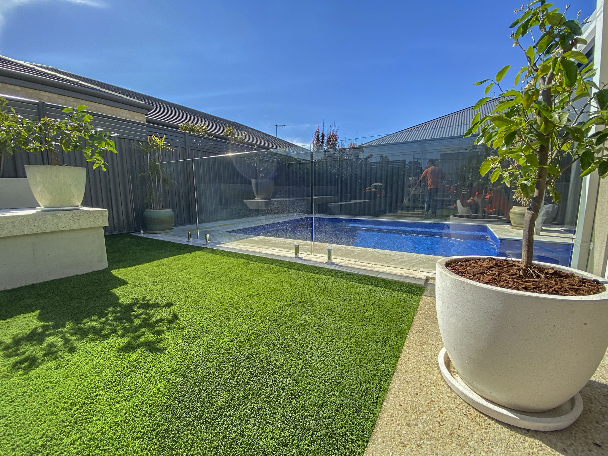 Buff | Tauro Turf Perth