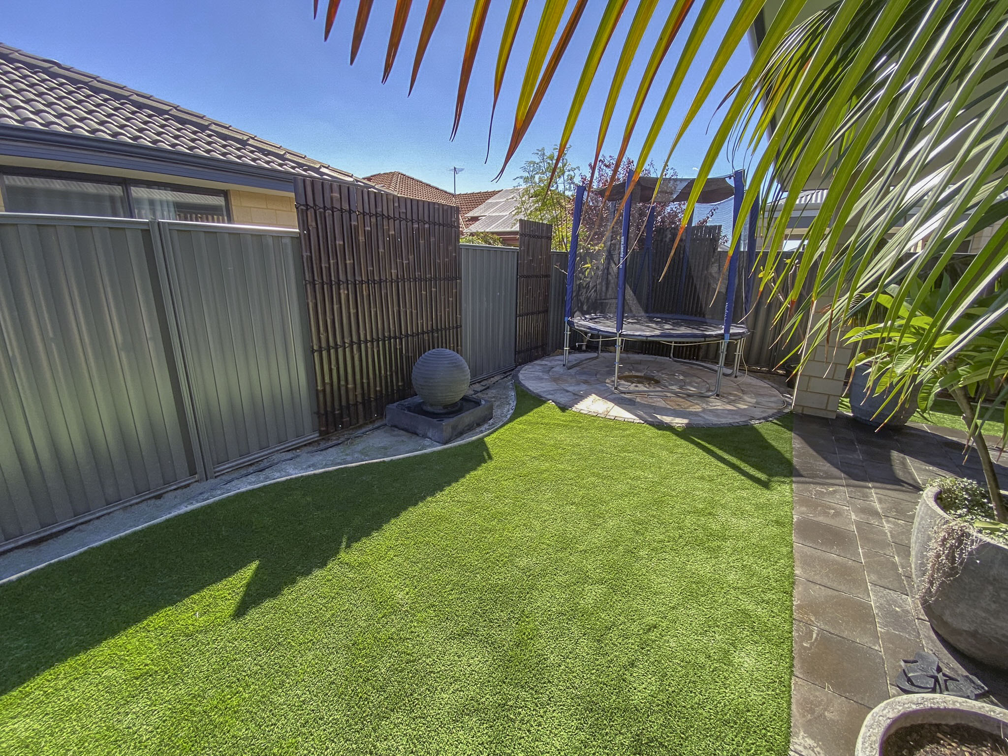 Buff | Tauro Turf Perth