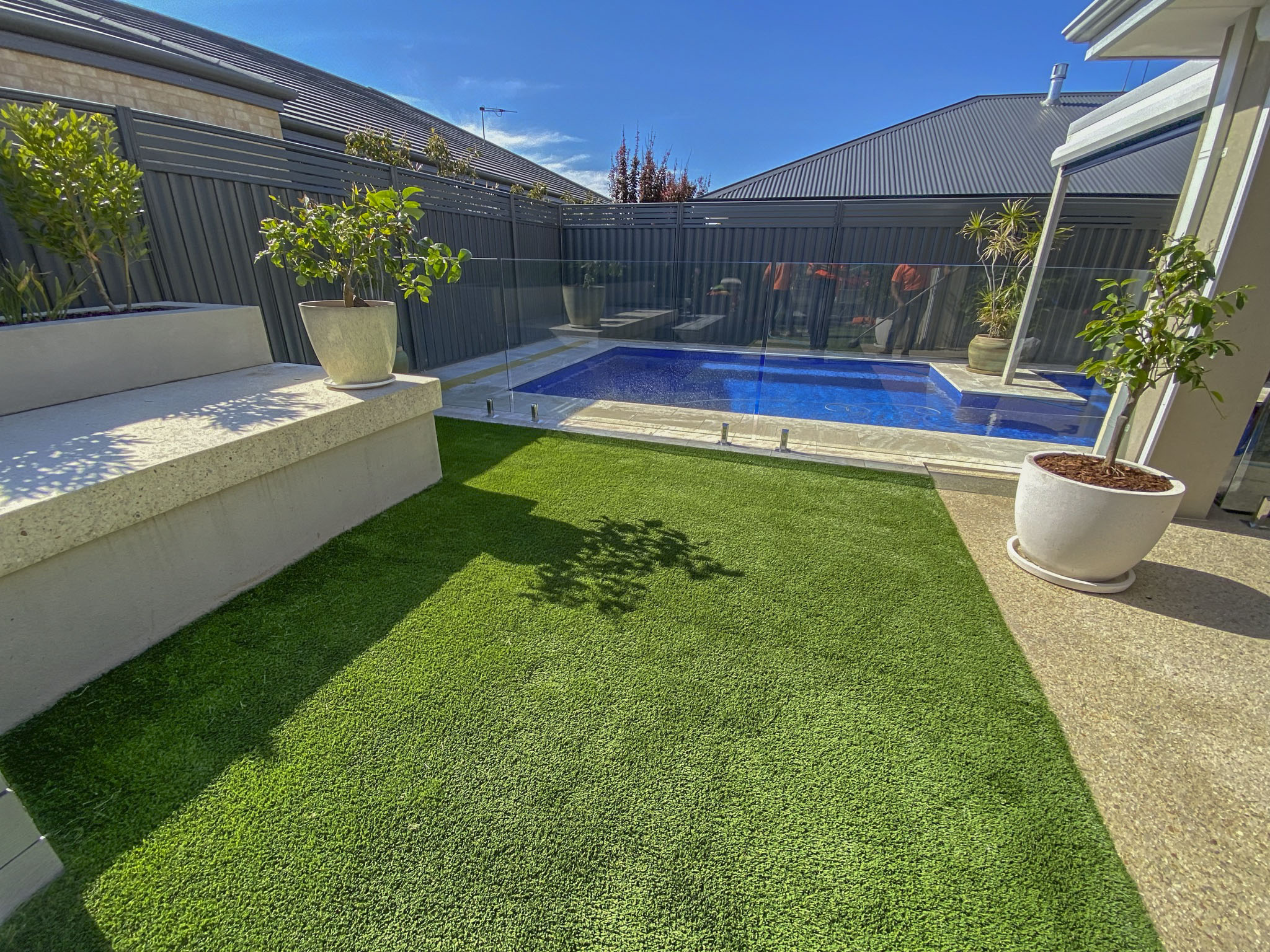 Buff | Tauro Turf Perth