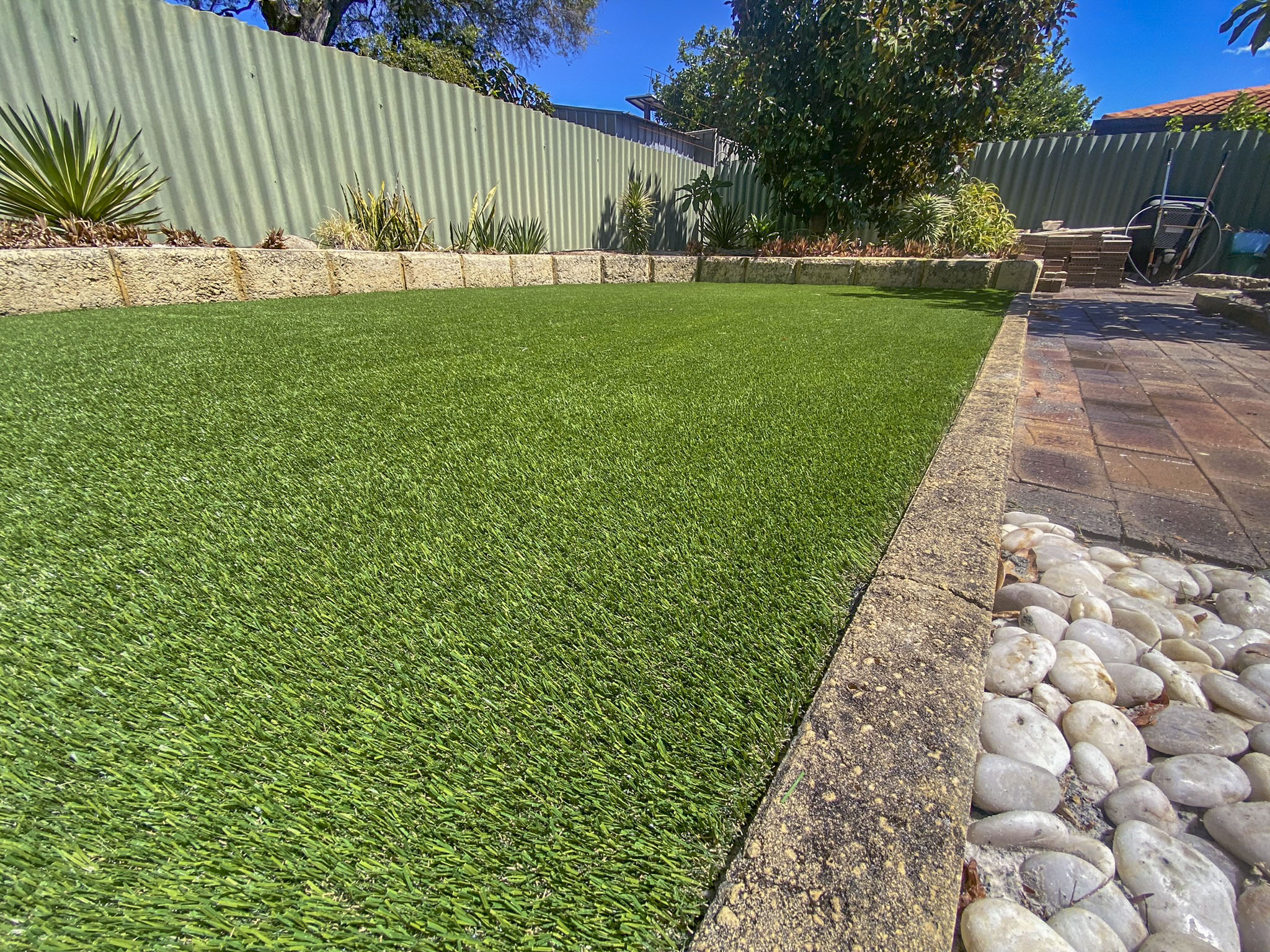 Buff | Tauro Turf Perth