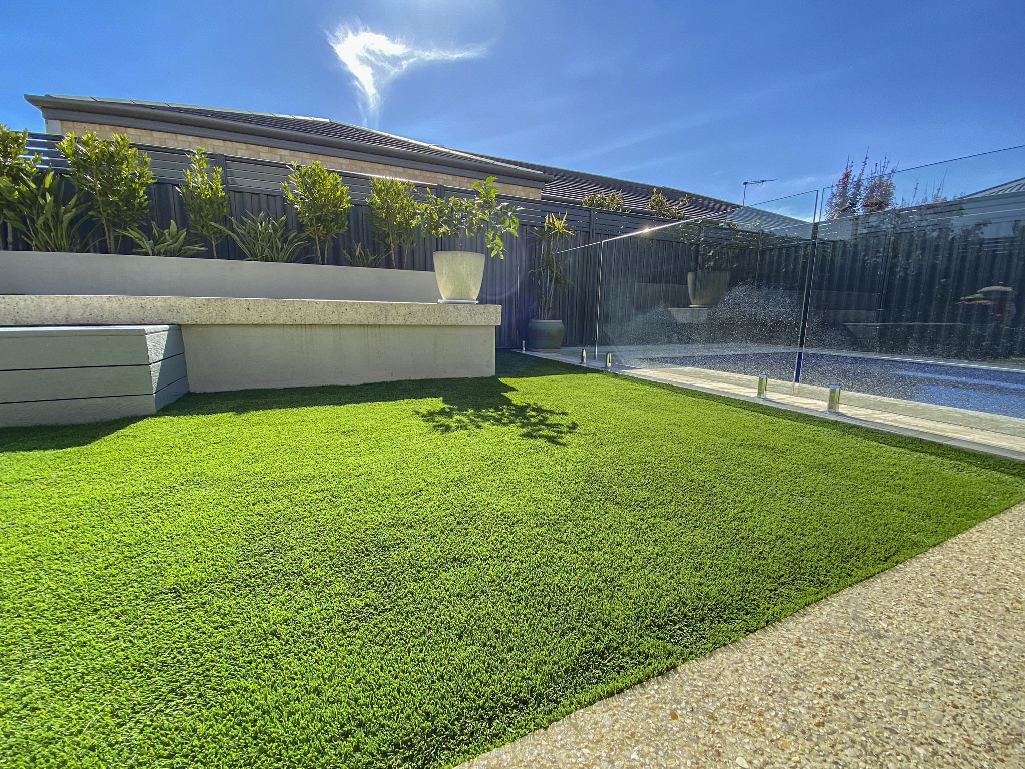 Buff | Tauro Turf Perth