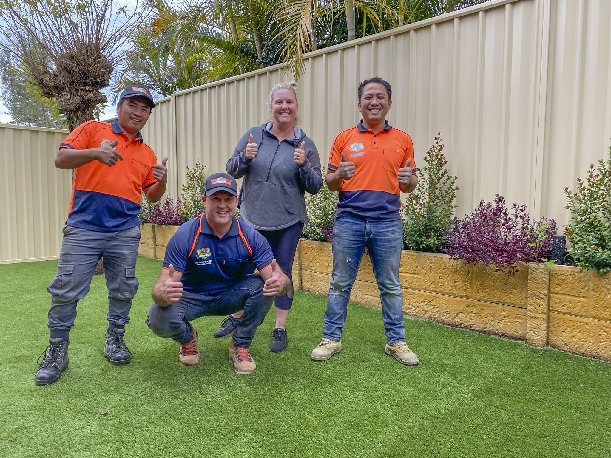 Buff | Tauro Turf Perth