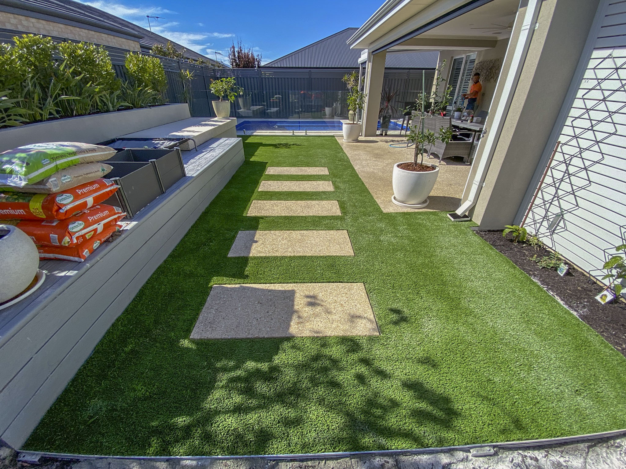 Buff | Tauro Turf Perth