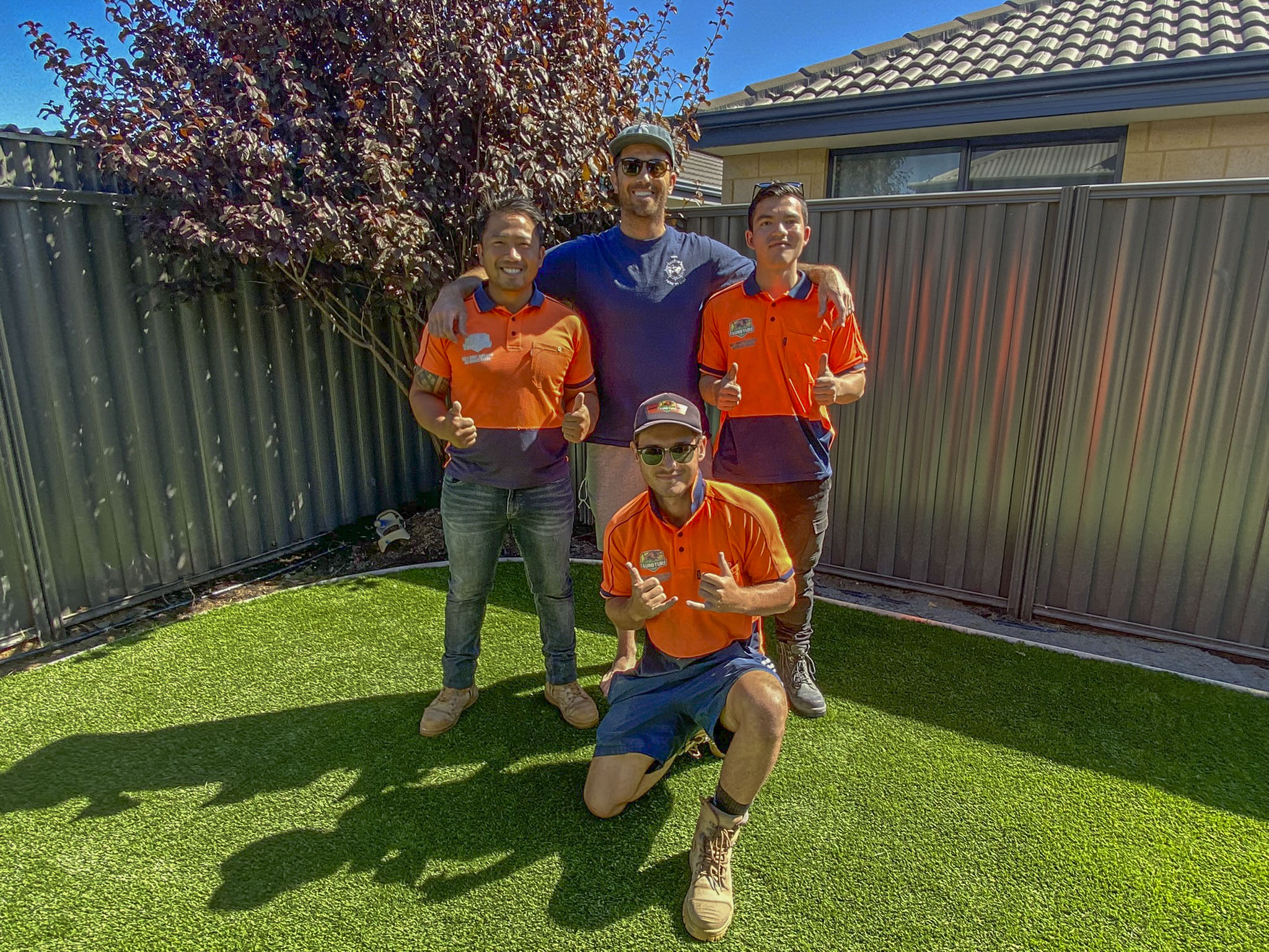 Buff | Tauro Turf Perth