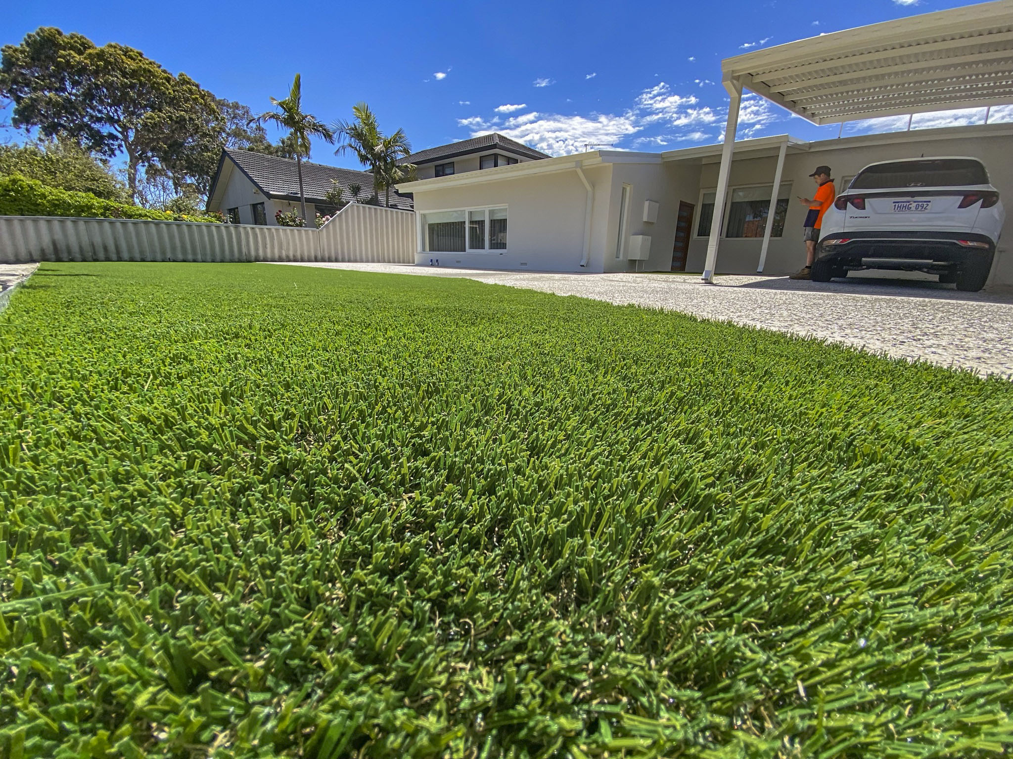Buff | Tauro Turf Perth
