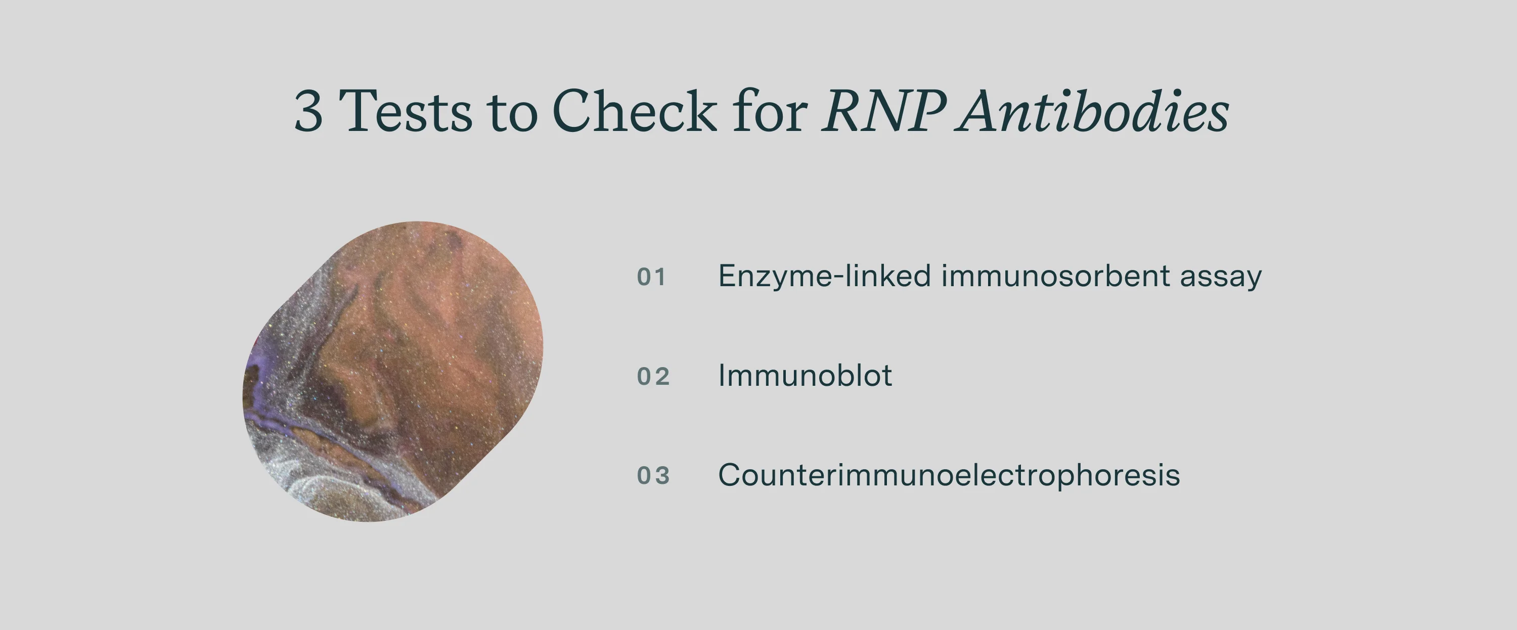 RNP Antibody: The Key to Unlocking MCTD