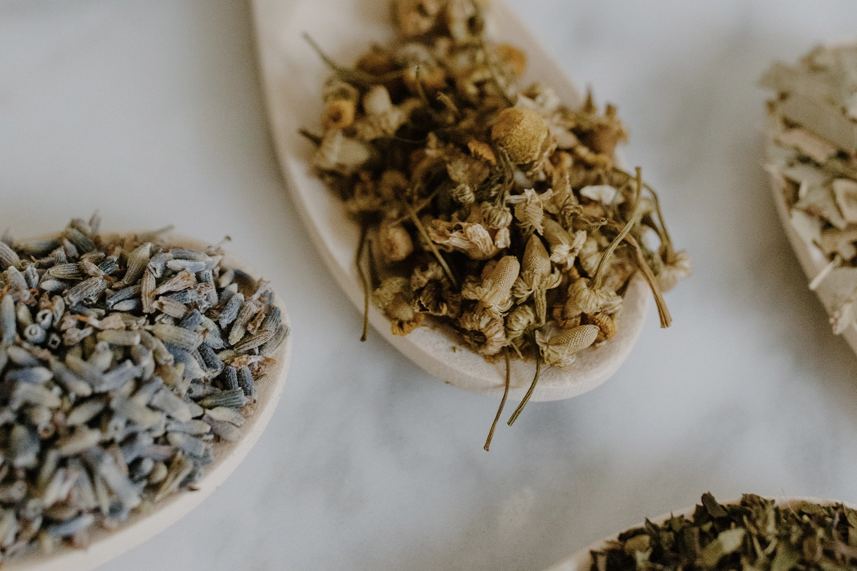 23 Herbs That Are Good For Inflammation — Reduce Autoimmune Pain With ...