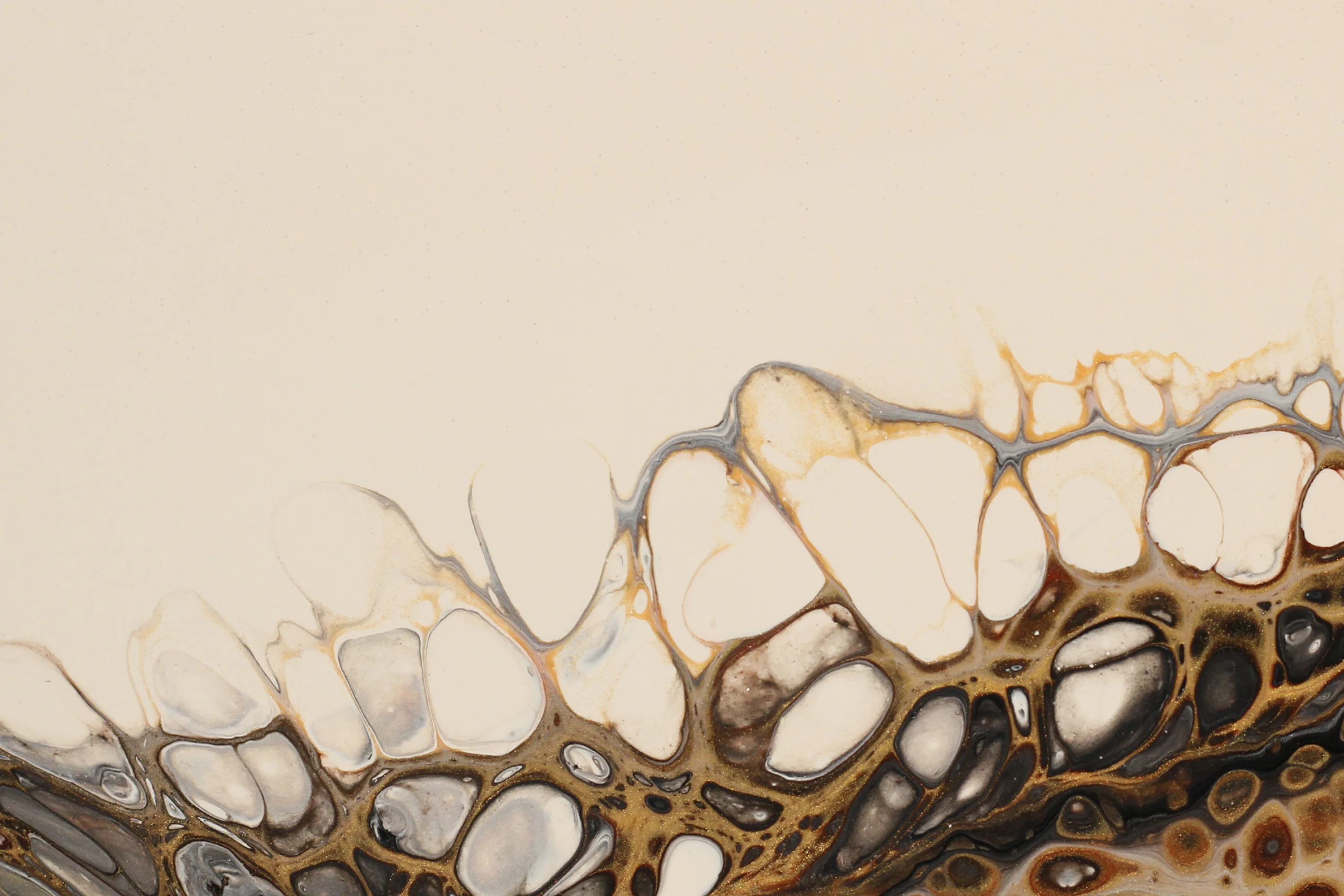 RNP Antibody: The Key to Unlocking MCTD