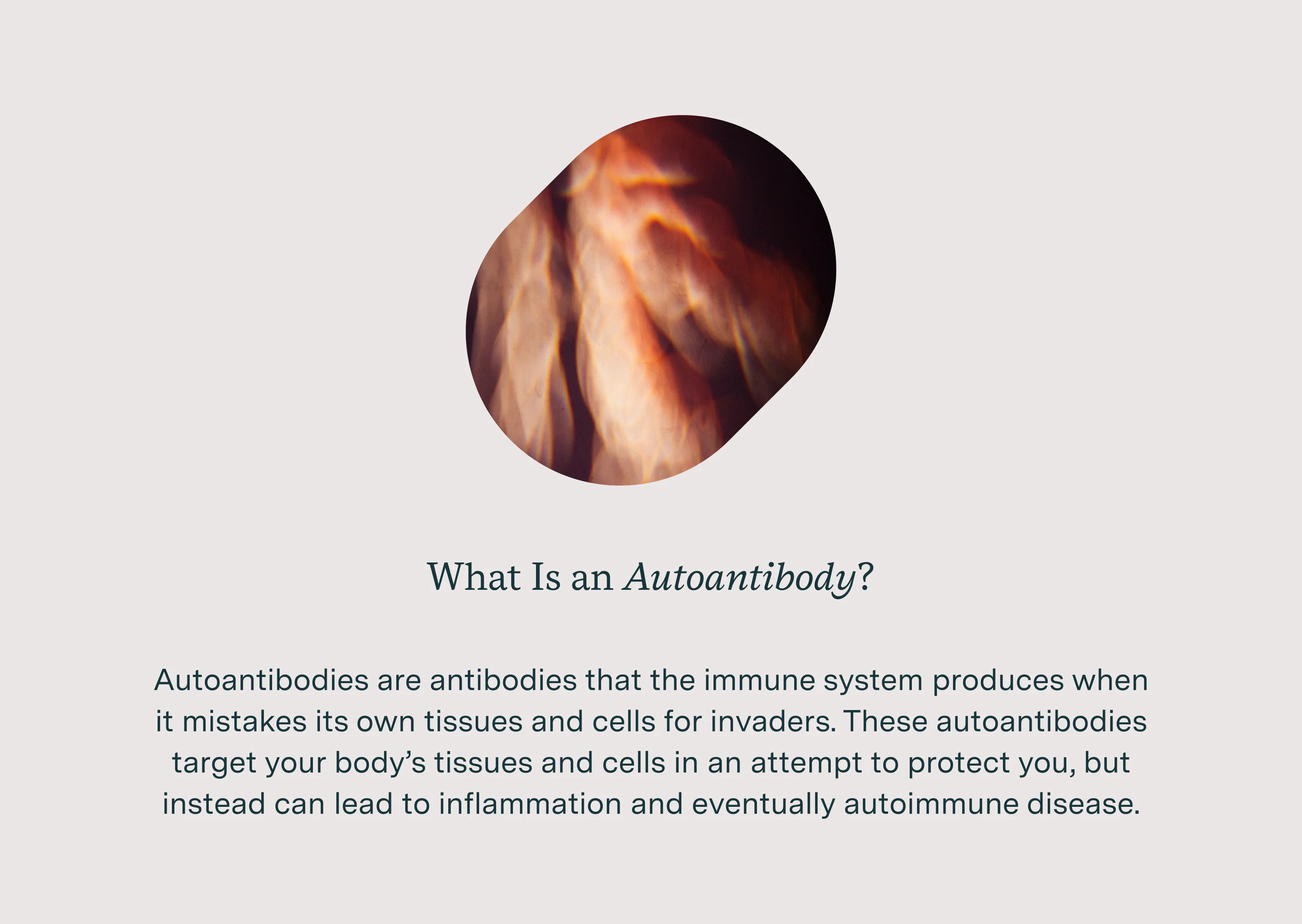 What Are Autoantibodies? 5 Ways They’re Used For Autoimmune Diseases