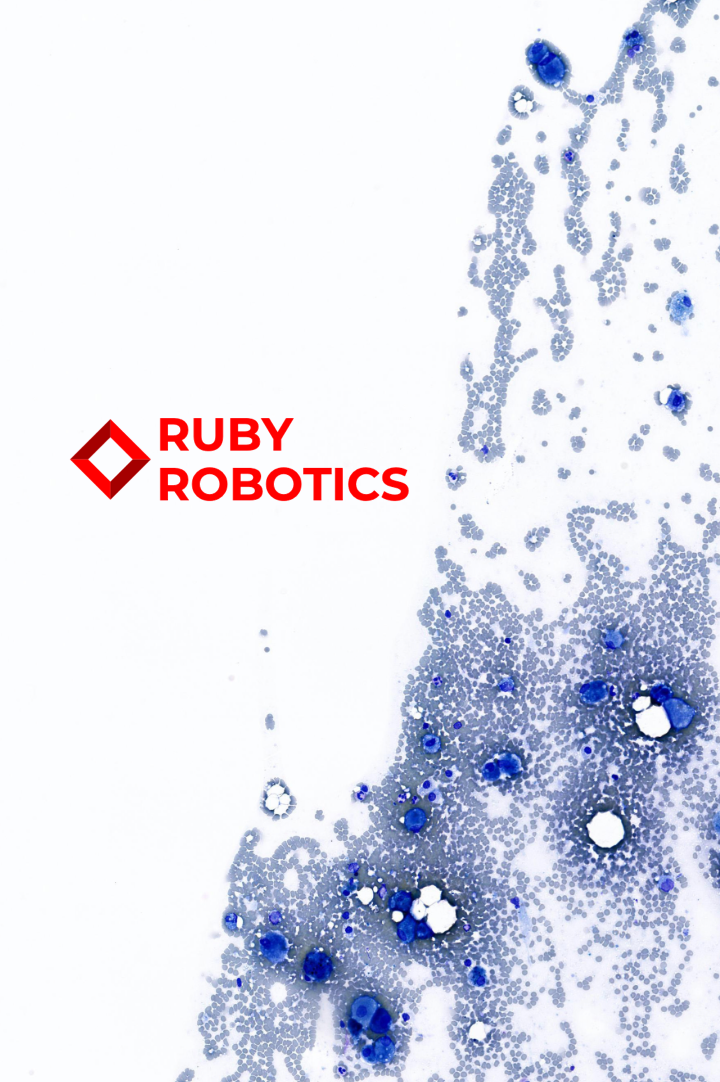 Ruby Robotics | Link Ventures