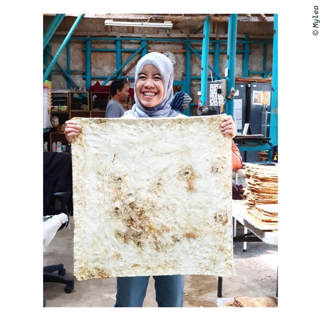 Biofabricated mycelium Mylea leather sheets~HauteMatter