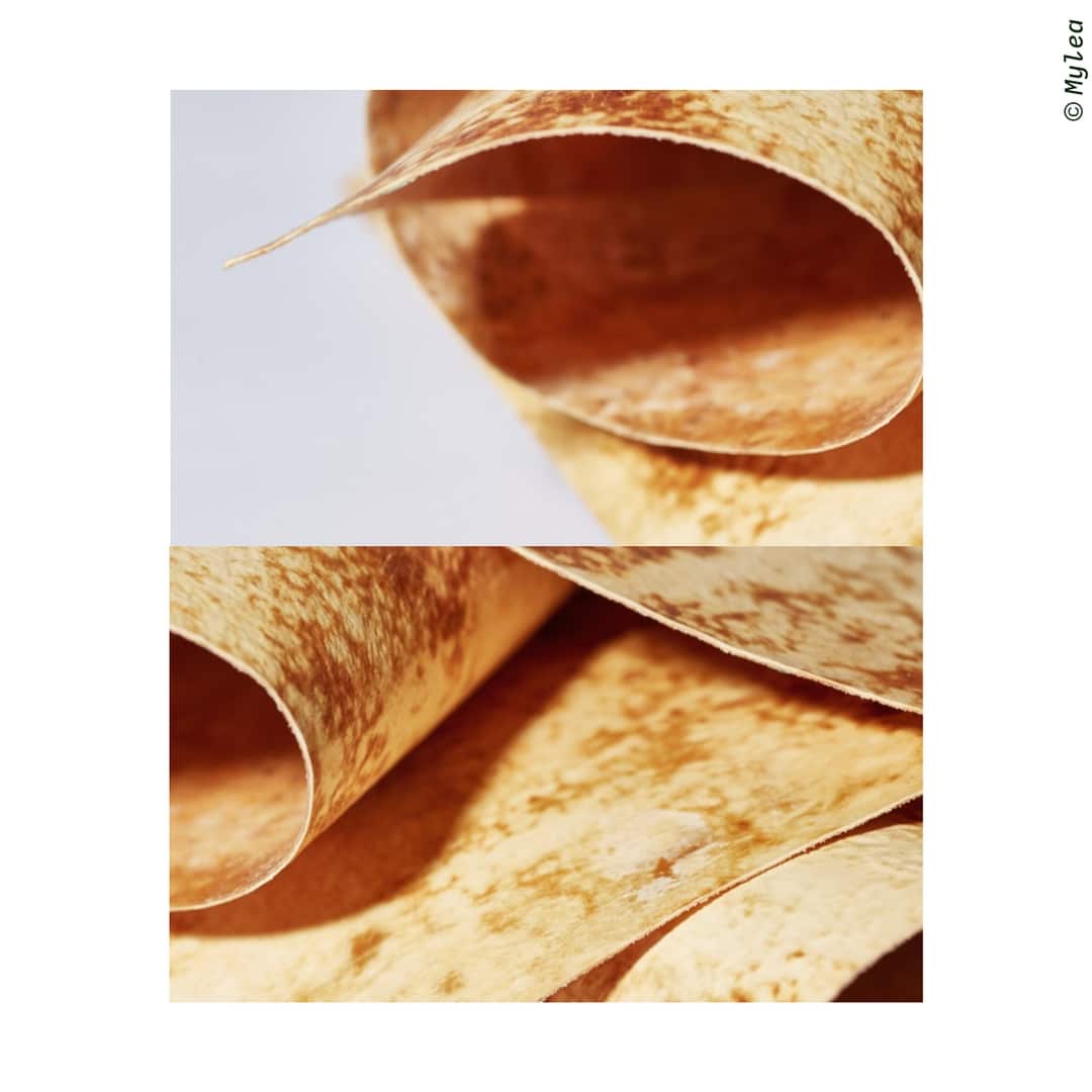 Biofabricated mycelium Mylea leather sheets~HauteMatter