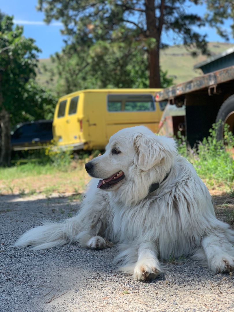 Peniel Ranch | Beautiful Summer!!