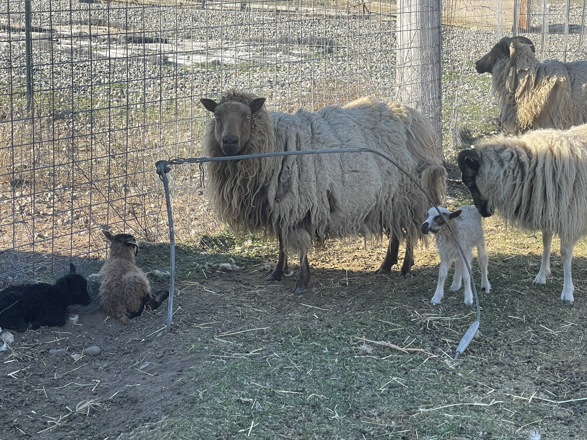 Peniel Ranch | Spring Has Come!