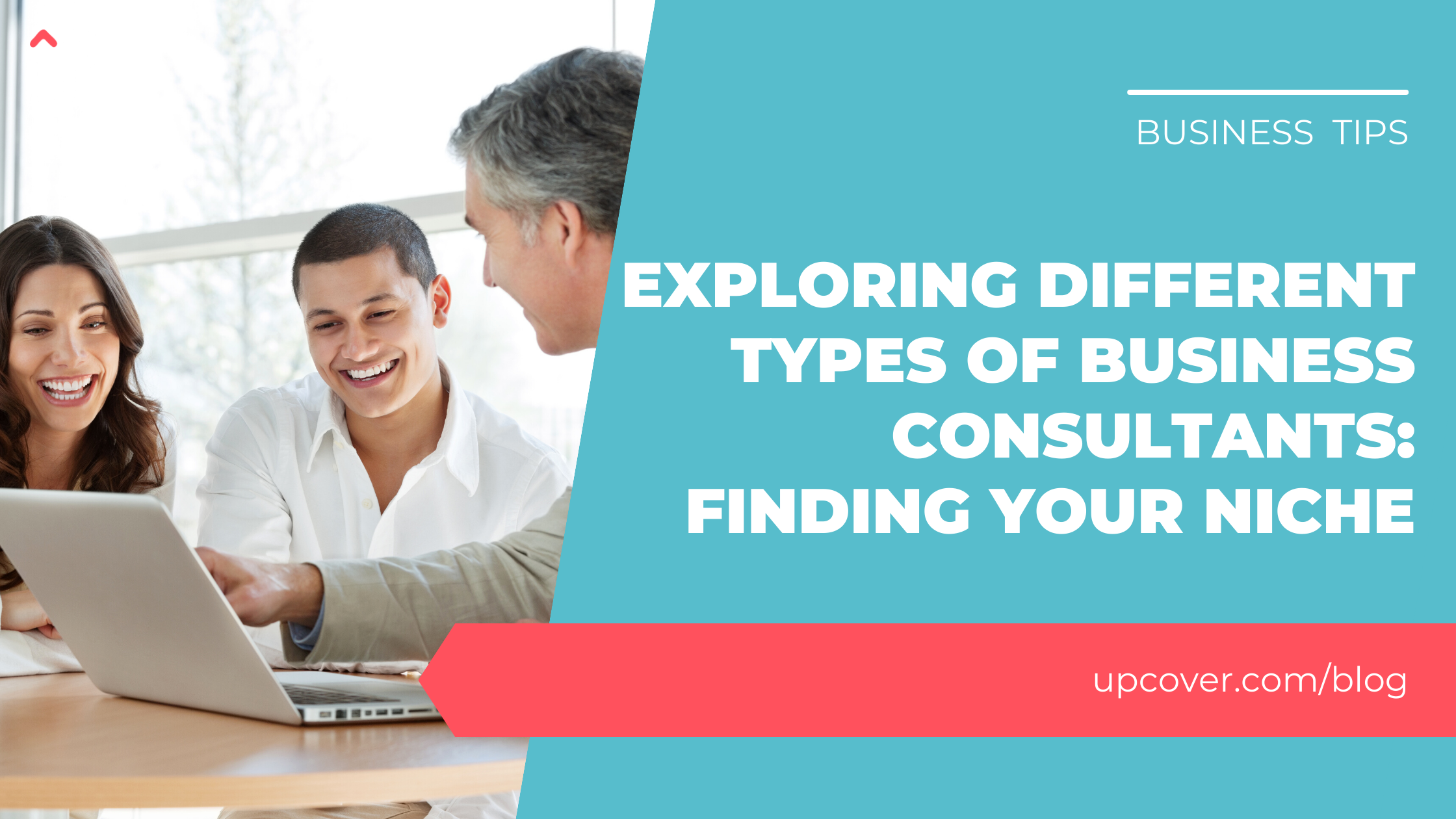Exploring Different Types of Business Consultants: Finding Your Niche ...