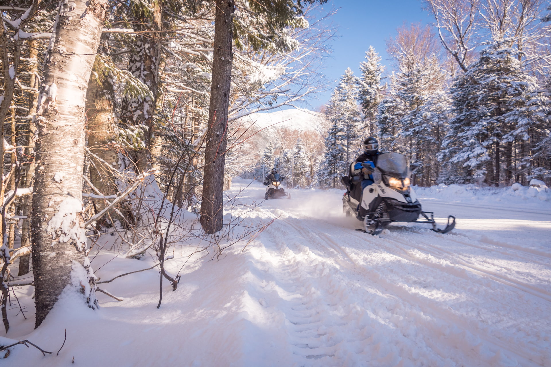 Guided Winter Adventure!