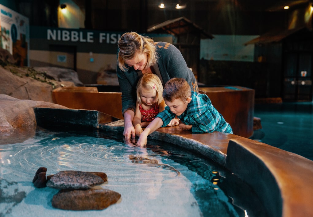 Welcome to Bartlett, NH! | Activities