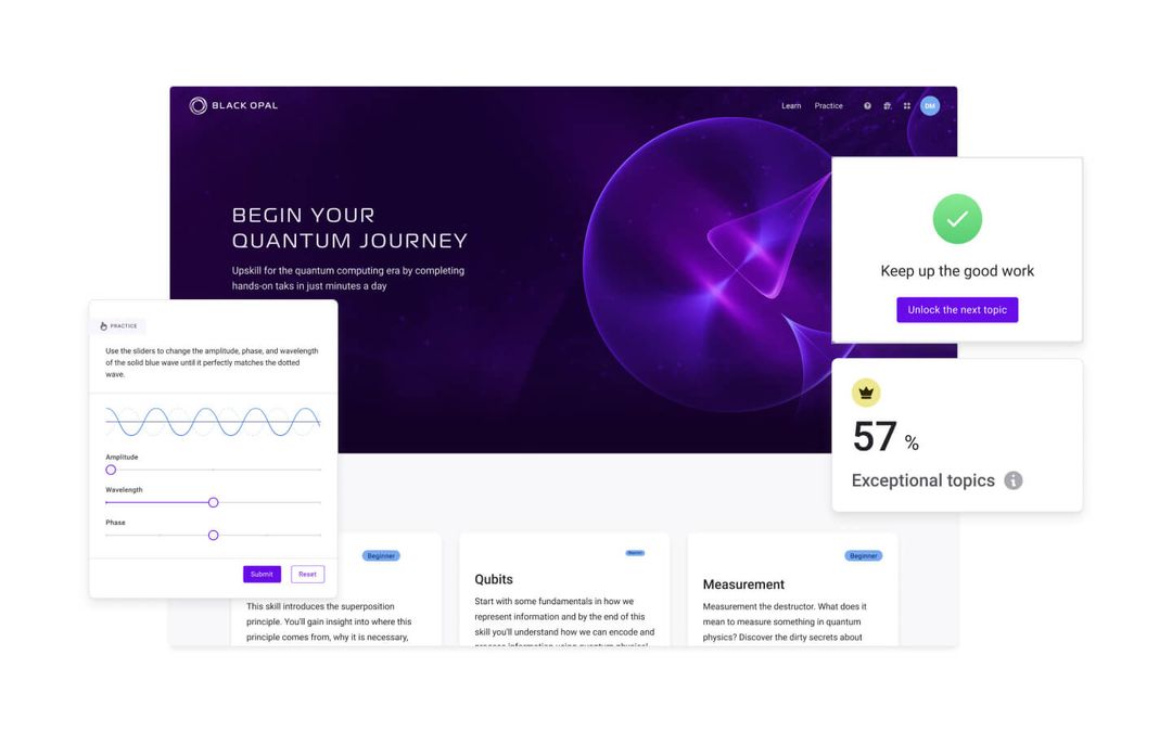 Main Sequence | Q-CTRL - Making quantum technology useful