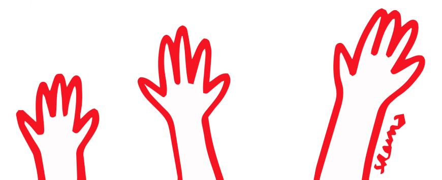 Kodiko - Nos résultats