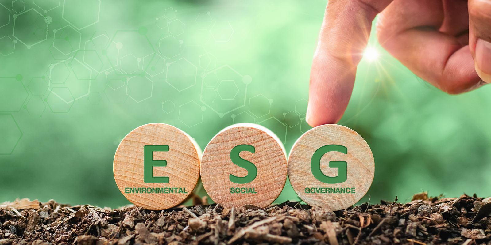 ESG-Kriterien: Wie Anleger nachhaltig investieren können