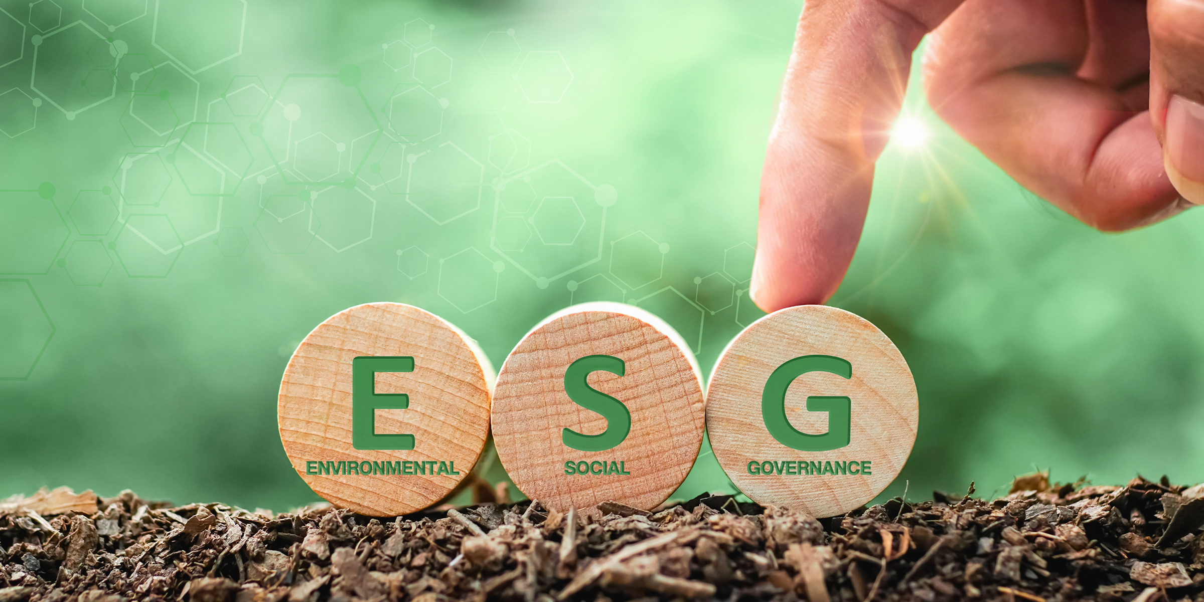 ESG-Kriterien: Wie Anleger nachhaltig investieren können