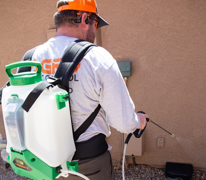Pest Control in San Tan Valley | Agro Pest Control