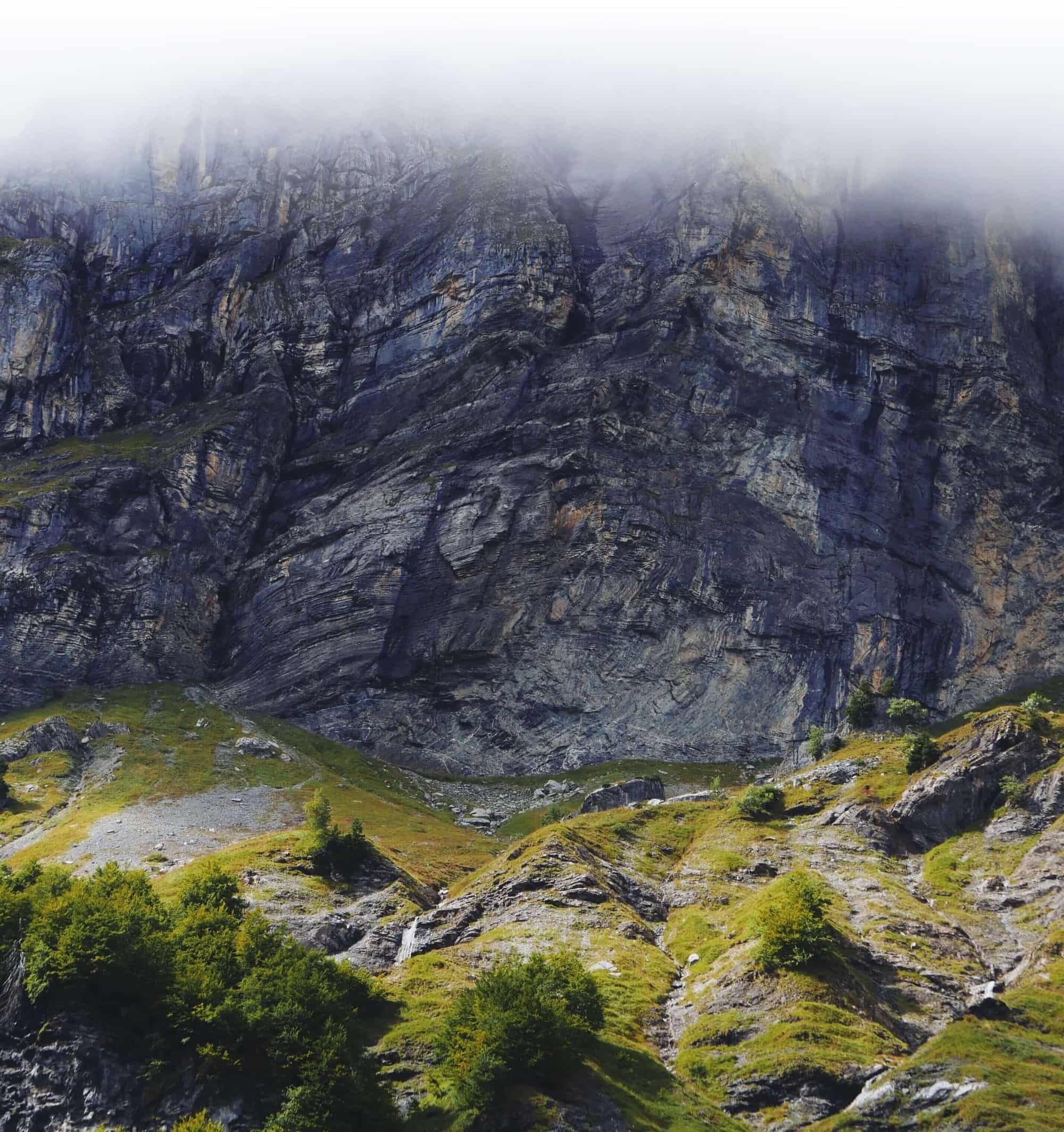 Healthfully Shop: Raw Unsalted Cheese