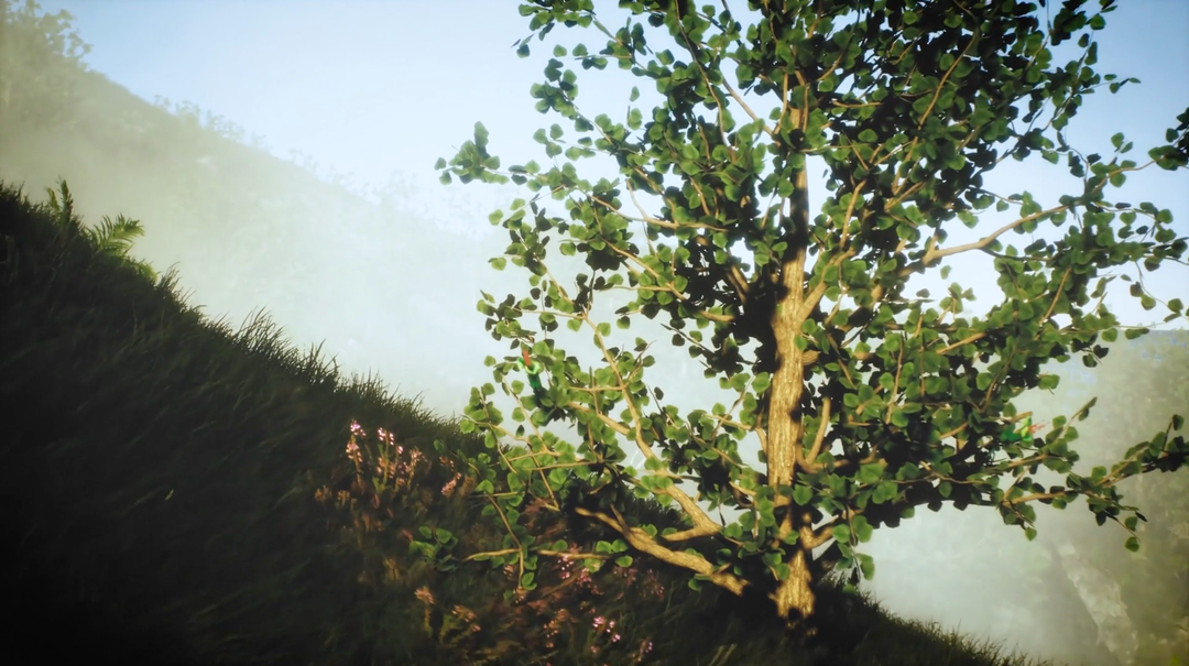 Ginkgo Bioworks Creative Studio