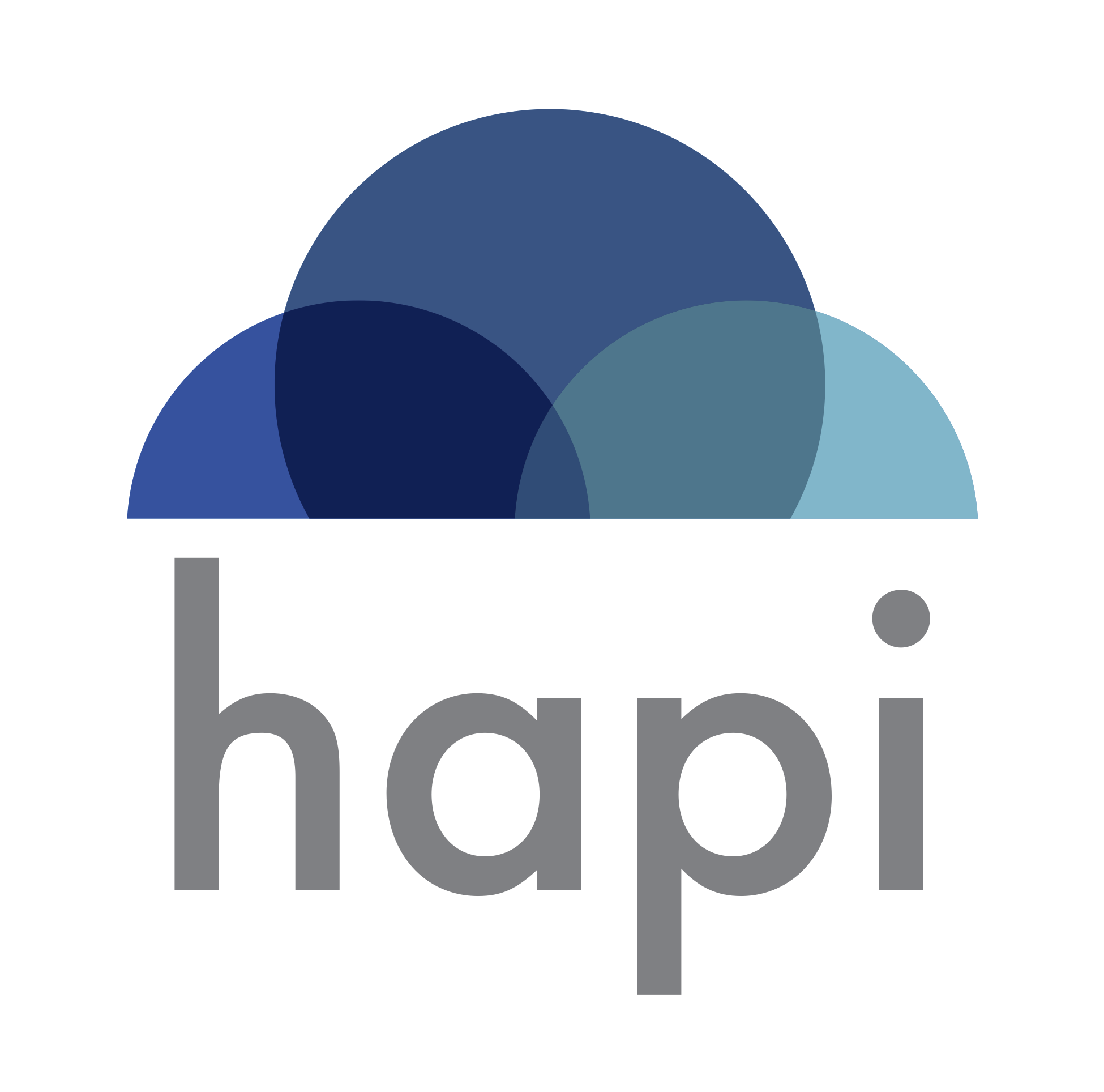 Hapi Cloud Website 041221