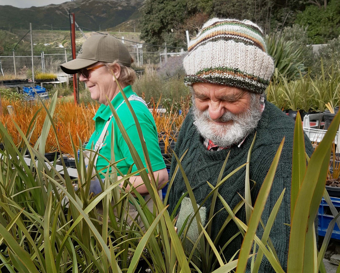 About us - Te Rito Gardens