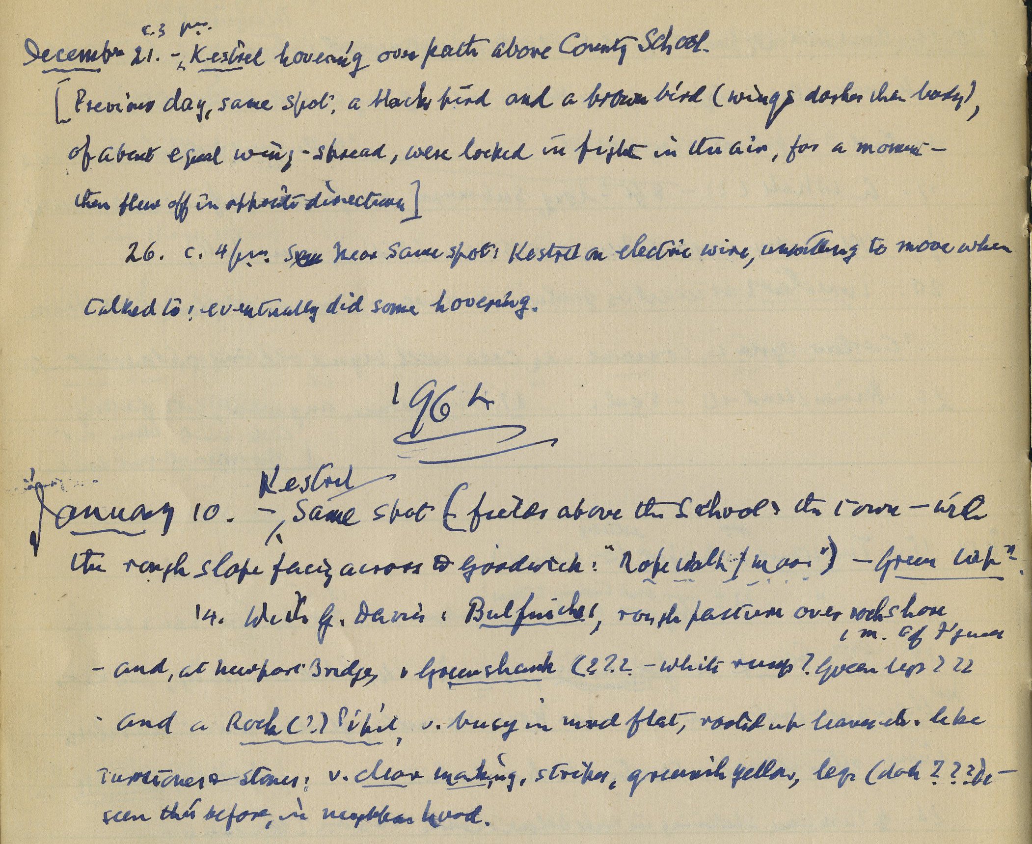 From the Archives: Father Leo O'Hea SJ | Jesuits in Britain