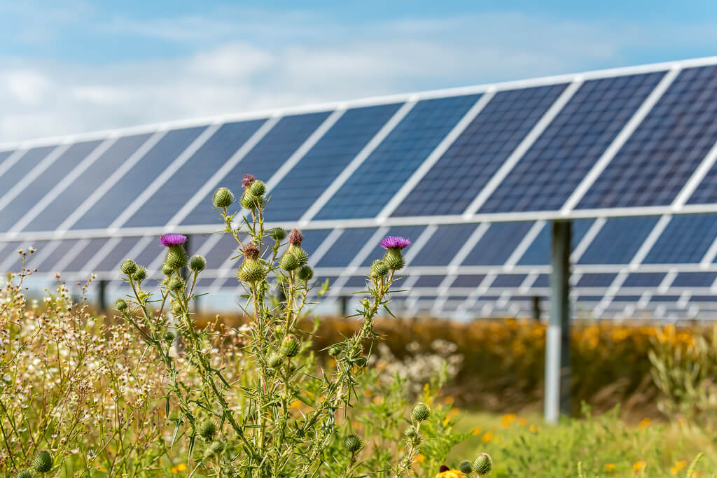 Community Solar and Storage - US Solar